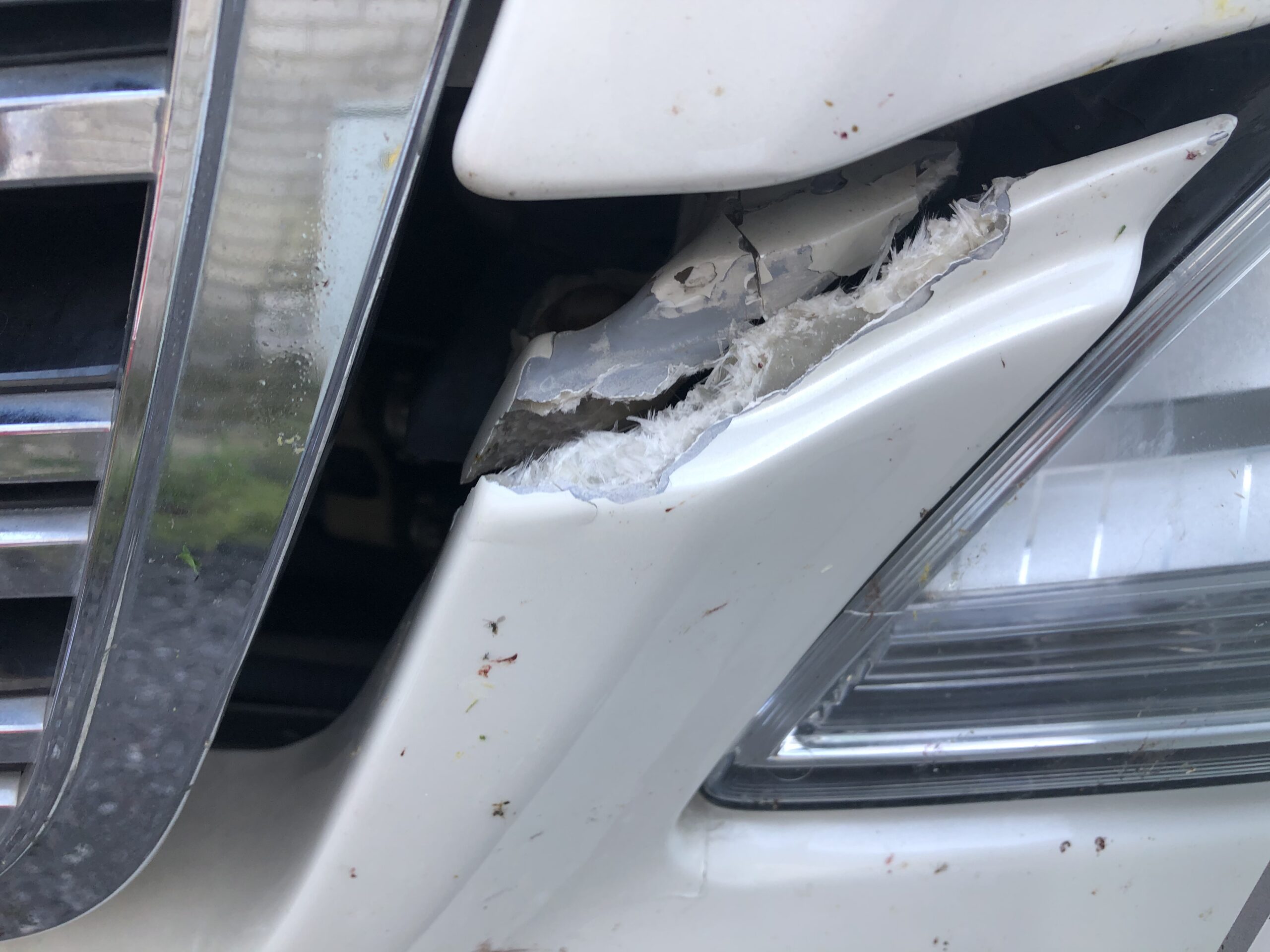 Klaaskiudremont - Dreamix Auto